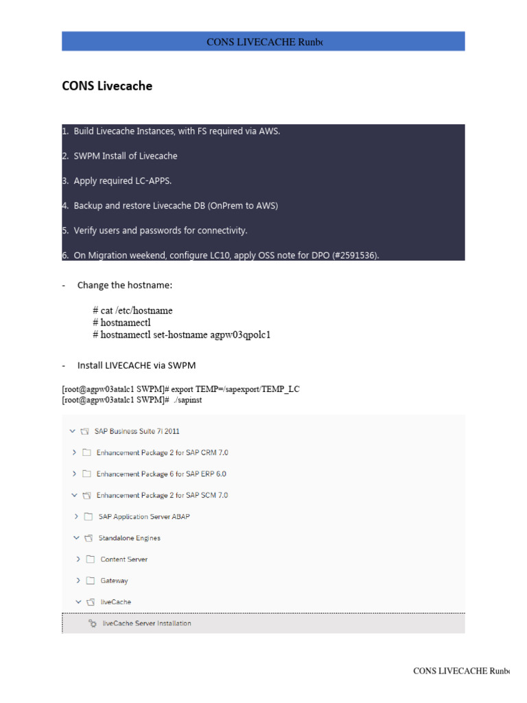 SCM CONS LC Runbook | PDF | User (Computing) | Version Control