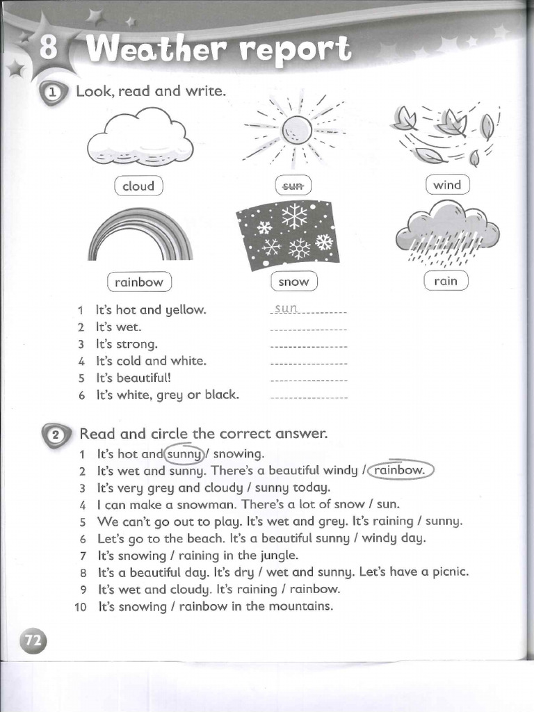 Activity Book | PDF
