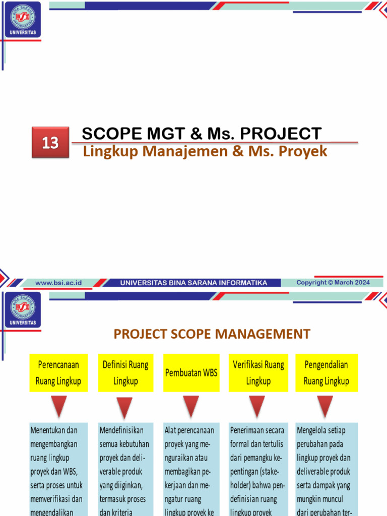 Scope MGT & Ms. Project: Lingkup Manajemen & Ms. Proyek | PDF