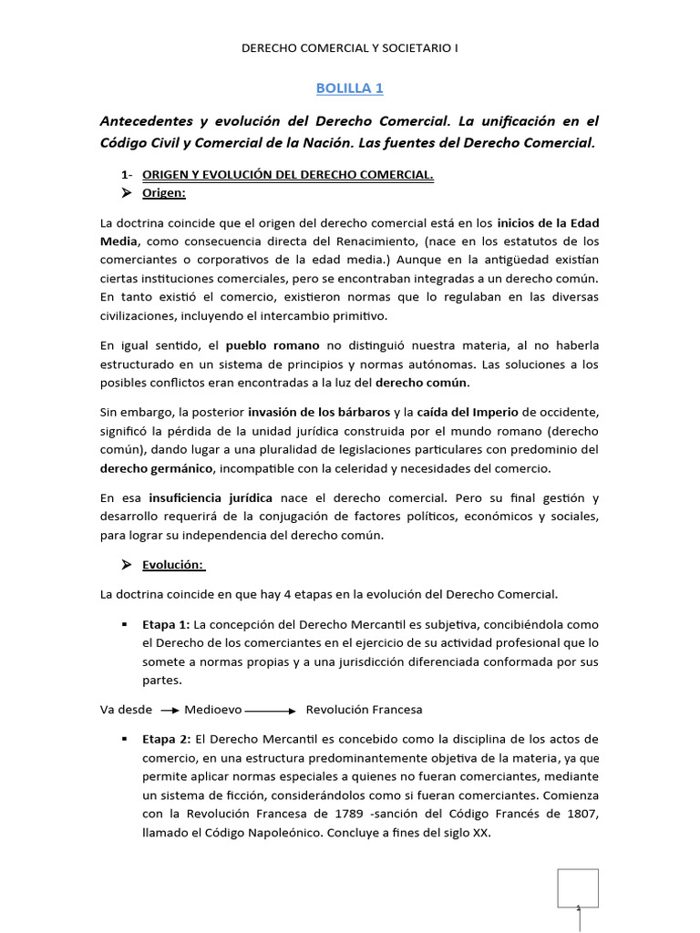 Carpeta Comercial y Societario 1 DANISA CORNEJO 2019 UM (Sabrina) | PDF