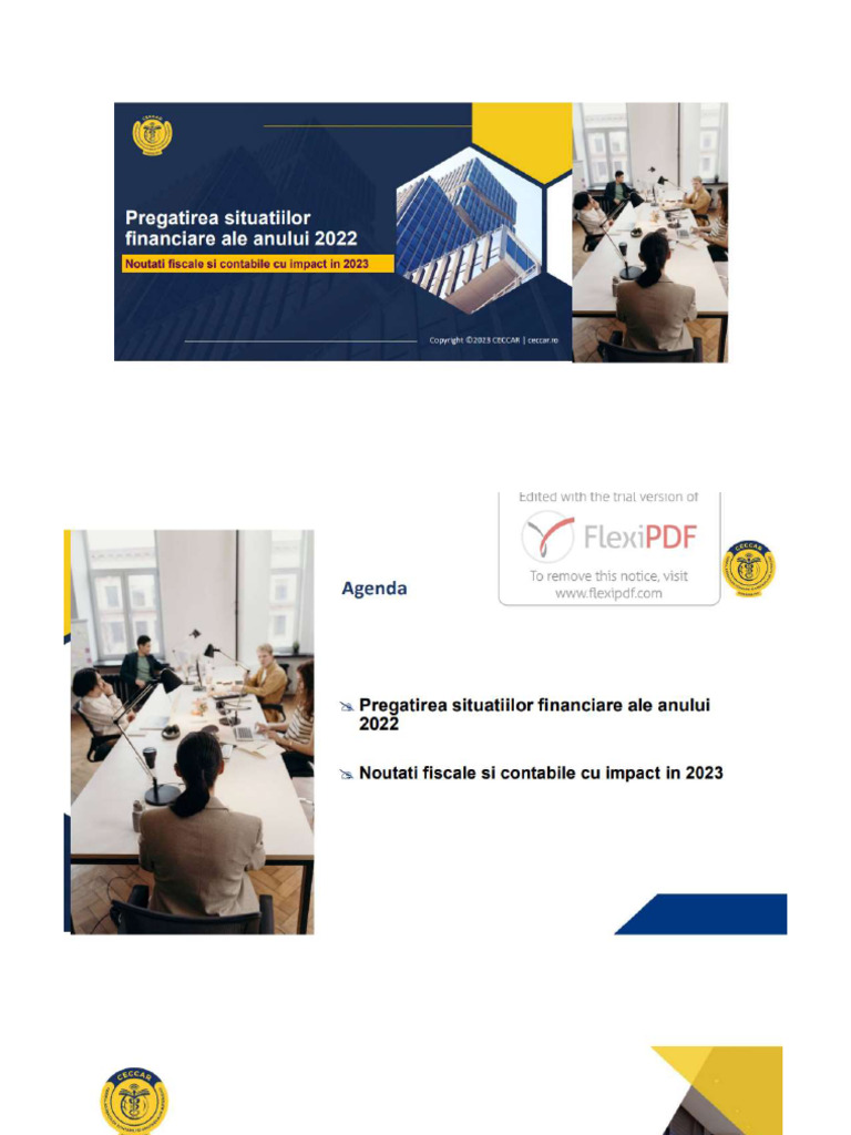 Curs CECCAR | PDF