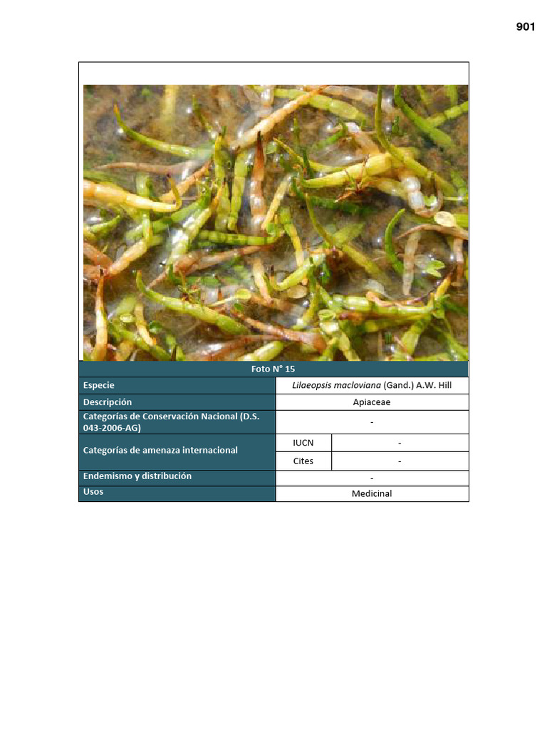 VEGETACION | PDF | Aves