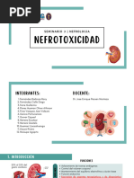 Fármacos Nefrotóxicos y su Manejo | PDF | Tratamientos médicos | Medicina