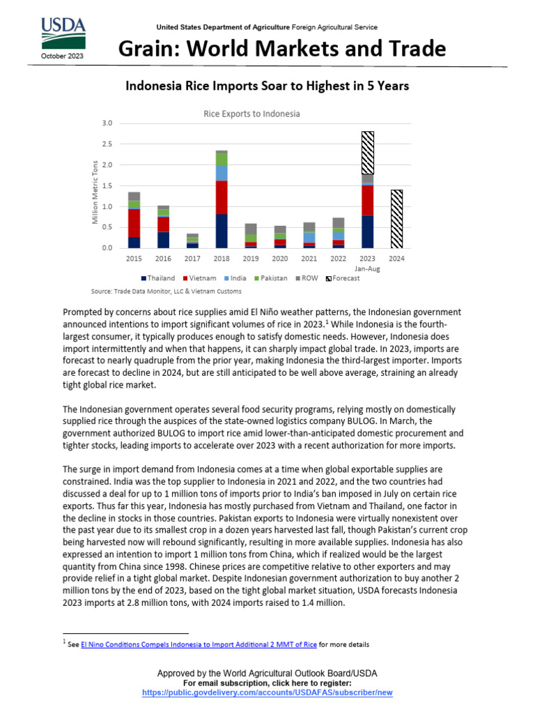 Grain | PDF | Wheat | Rice