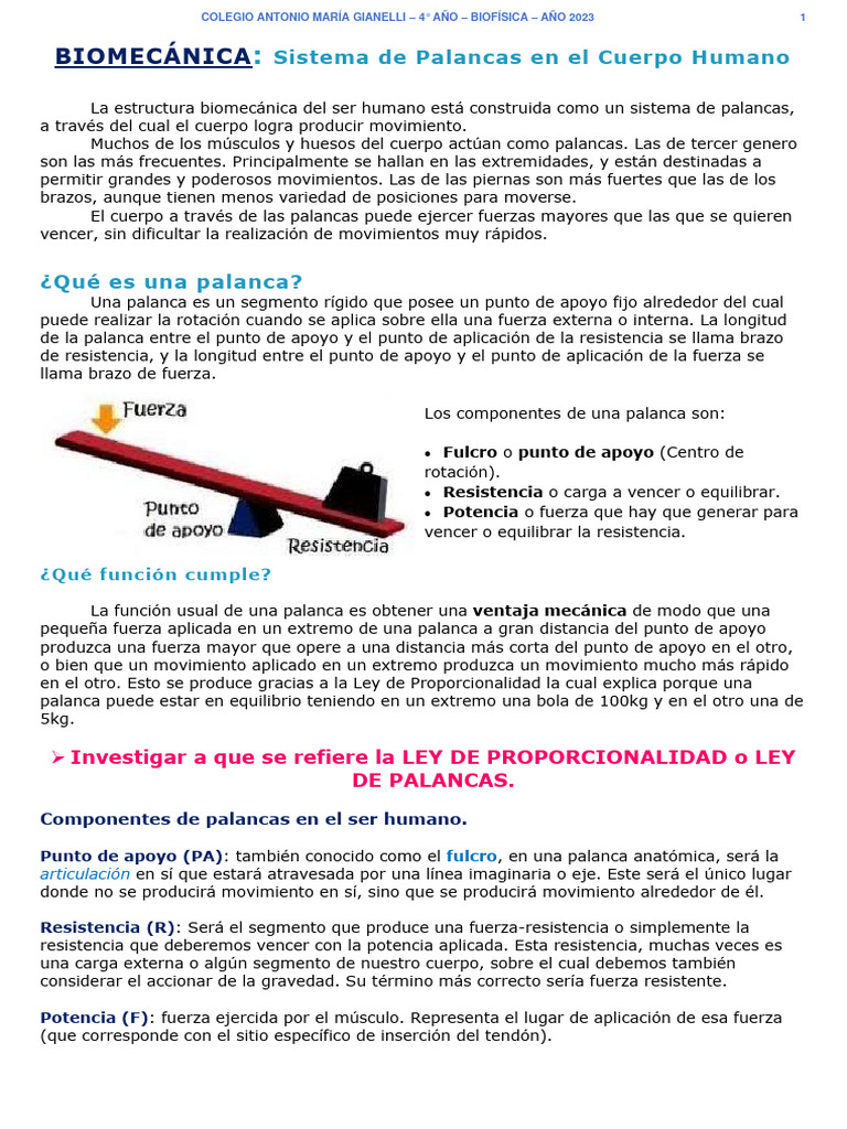 8.b. BIOMECÁNICA-SISTEMA DE PALANCA | PDF | Palanca | Fuerza