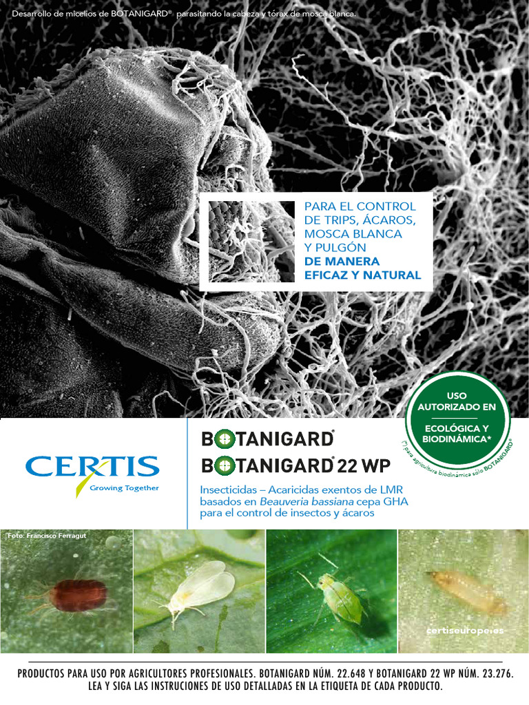 Folleto Botanigard y Botanigard 22WP | PDF | Insectos | Plaga (organismo)