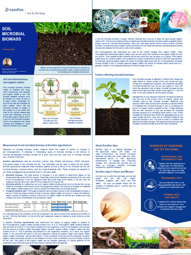 Microbial Biomass 3 | PDF | Soil | Organic Matter