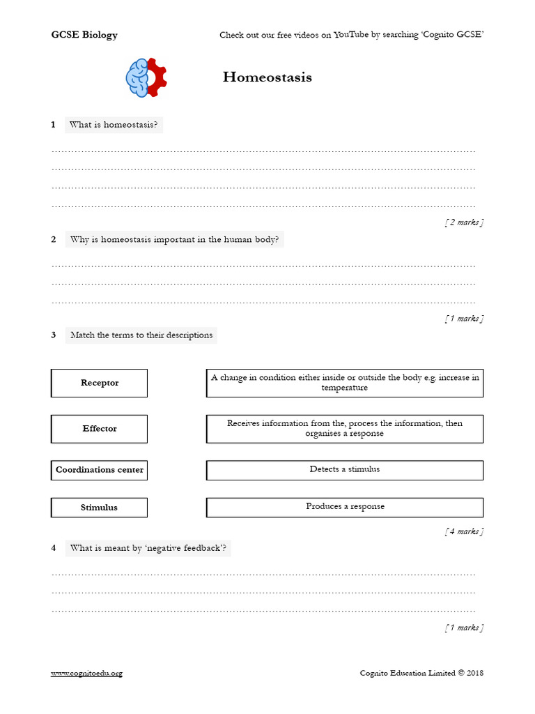 GCSE Biology - Homeostasis - Worksheet | PDF | Physiology | Cognitive ... GCSE Biology - Homeostasis - Worksheet | PDF | Physiology | Cognitive ...