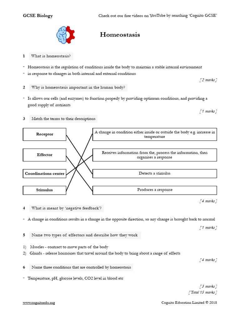 GCSE Biology - Homeostasis - Worksheet Answers | PDF | Homeostasis ...