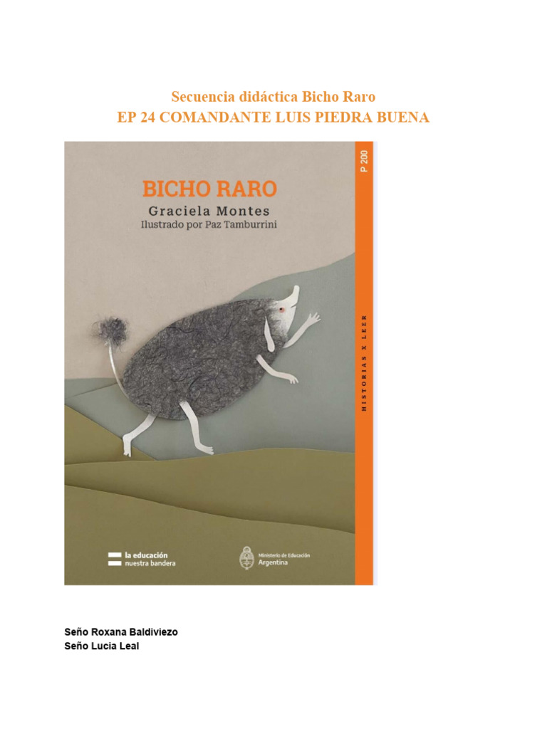 Bicho RARO 2° | PDF | Adjetivo