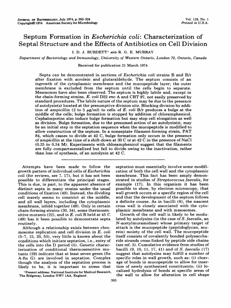 1974.formacion Del Septum | PDF | Fixation (Histology) | Cell Membrane