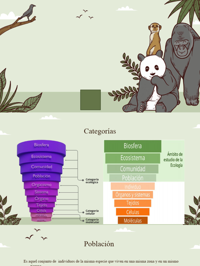 Niveles Ecológicos: Población a Biosfera | PDF | Ciencia y matemáticas