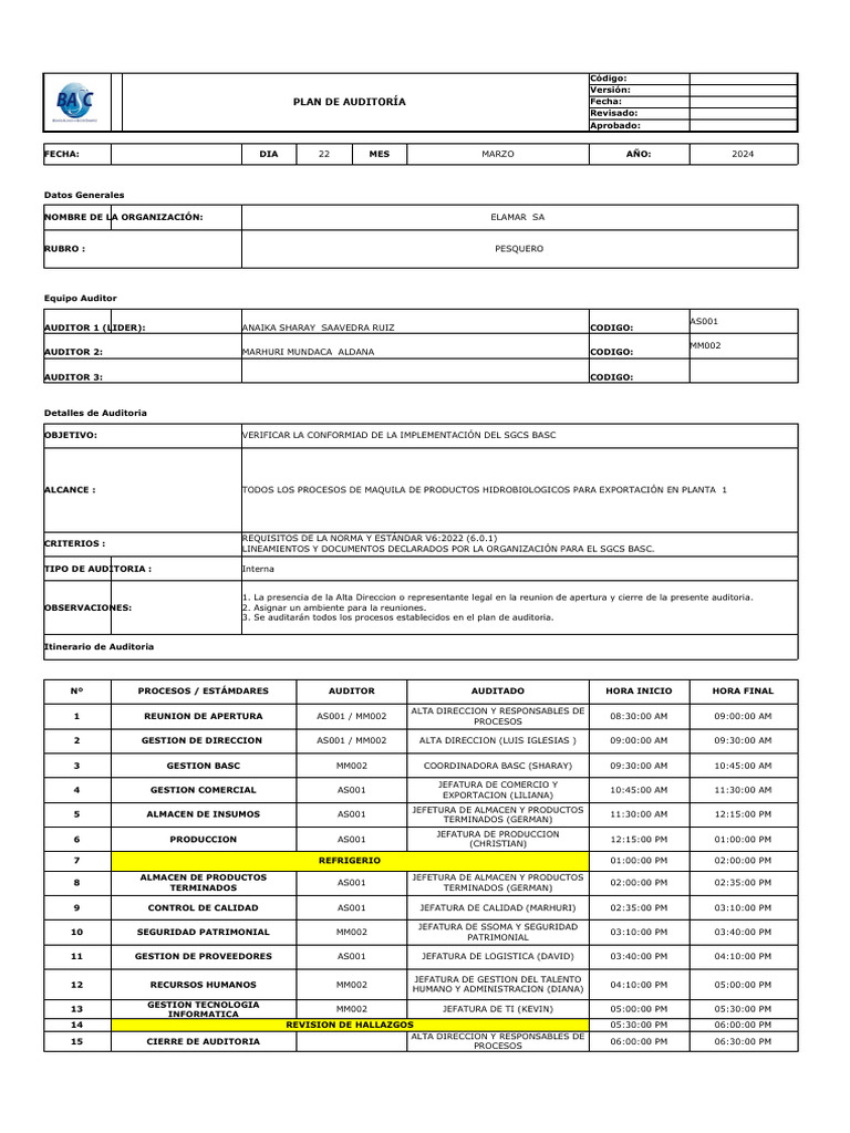 Plan de Auditoria 2 | PDF | Auditoría | Business