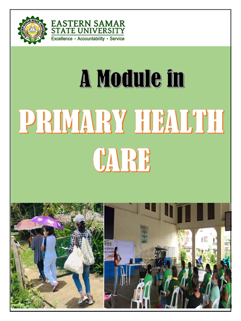 Elements of Primary Health Care Explained | PDF | Health Care | Health ...