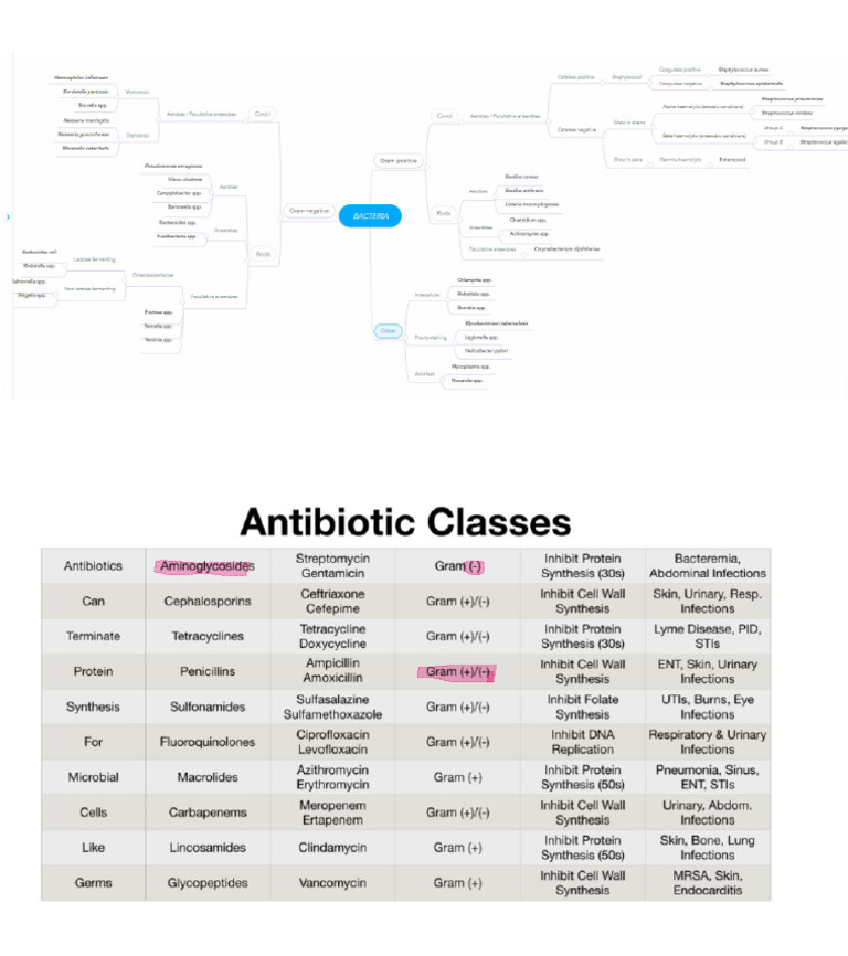 Bacteria and ABX Map | PDF