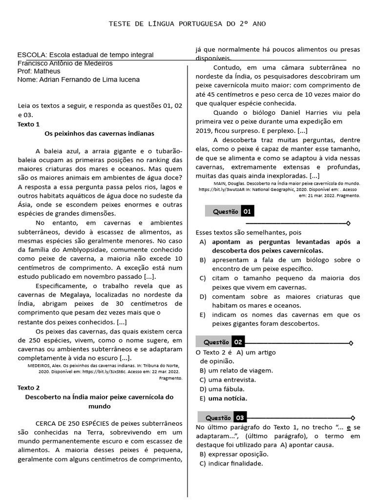 Prova 2 Ano - 4 Bim | PDF