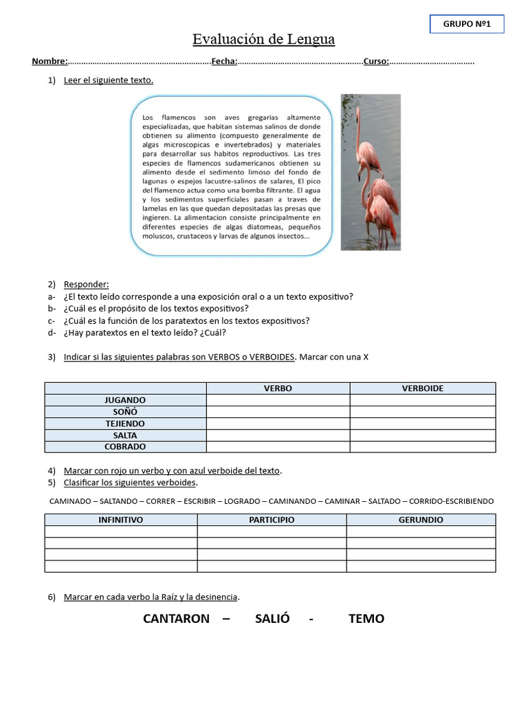Evaluación de Lengua | PDF | Verbo | Sintaxis