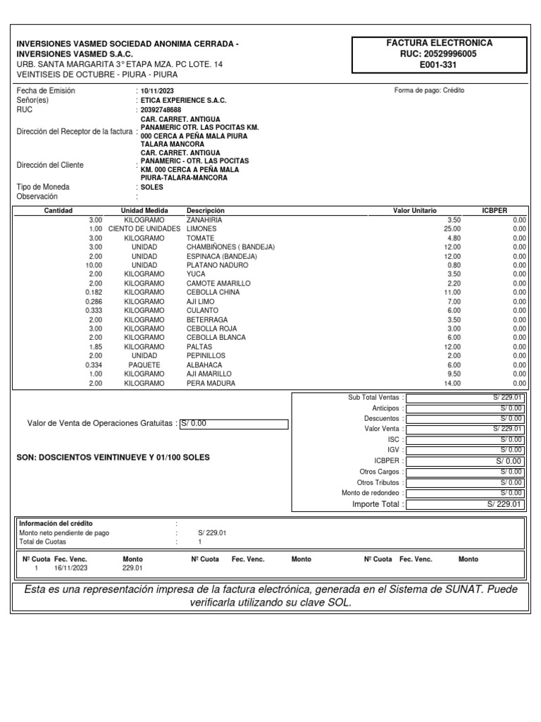 PDF Doc E001 33120529996005 | PDF