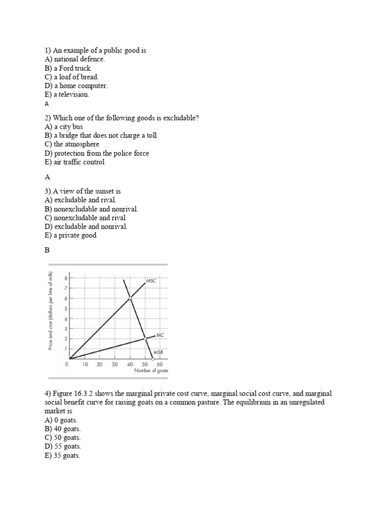 Public Goods and Externalities Explained | PDF | Externality | Business ...