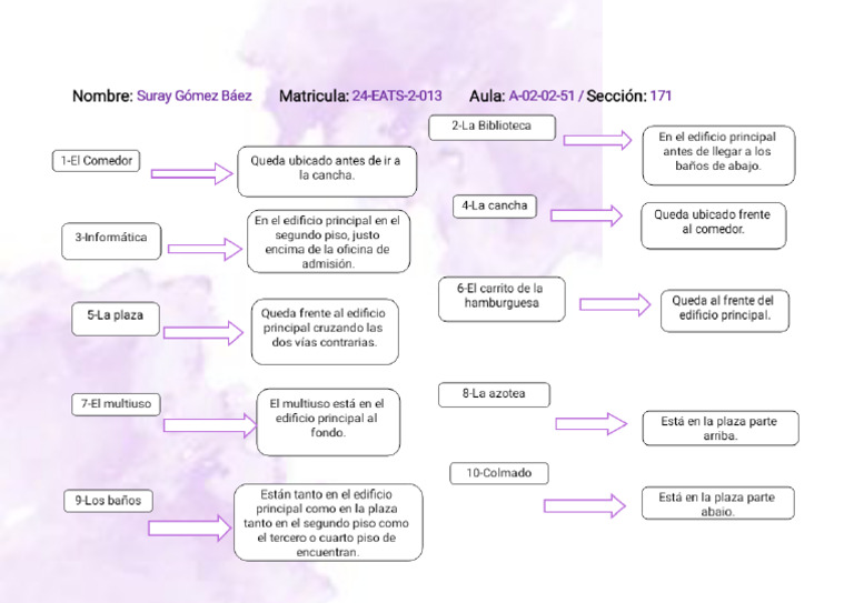 Organizador Suray-1 | PDF