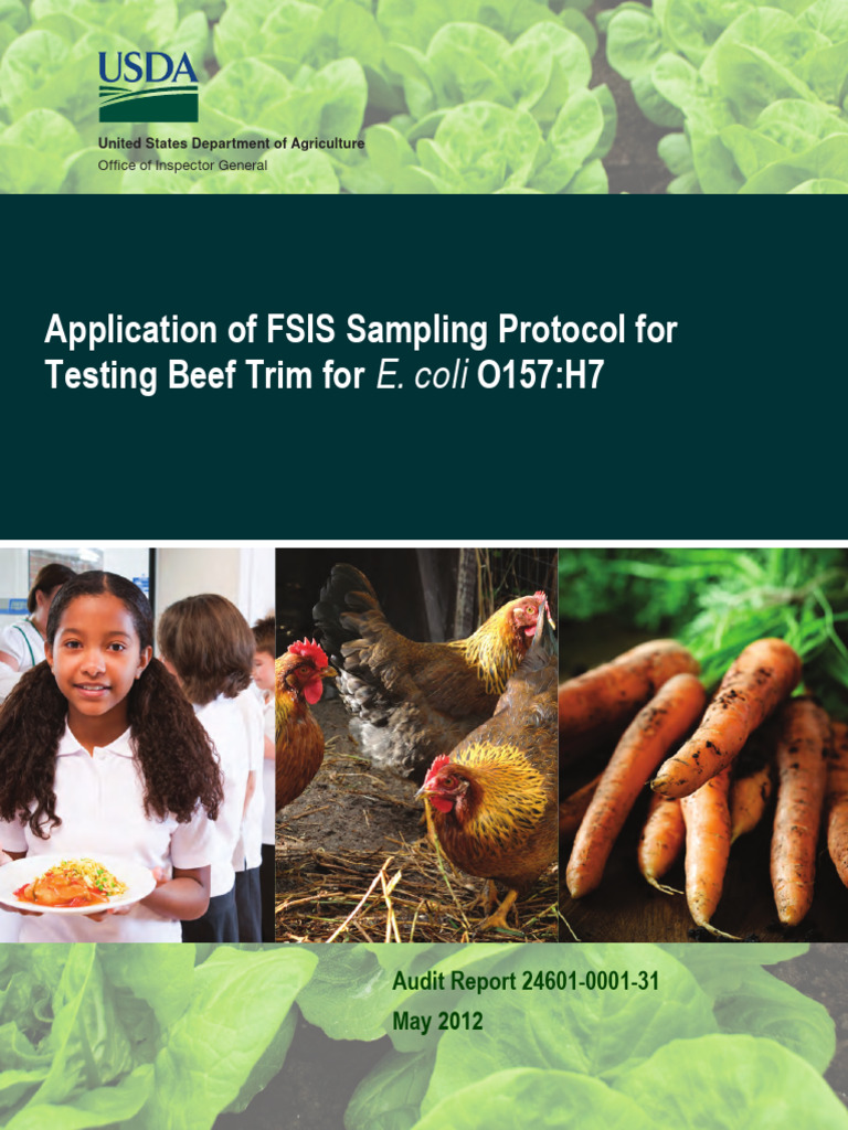 Application of FSIS Sampling Protocol For Testing Beef Trim For E. Coli ...