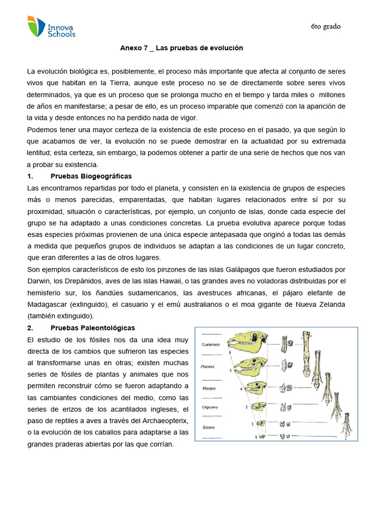Lectura Pruebas de La Evolucion | PDF | Evolución | Especies