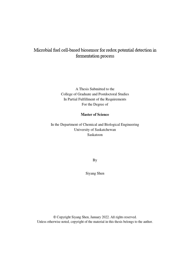 Shen Thesis 2022 | PDF