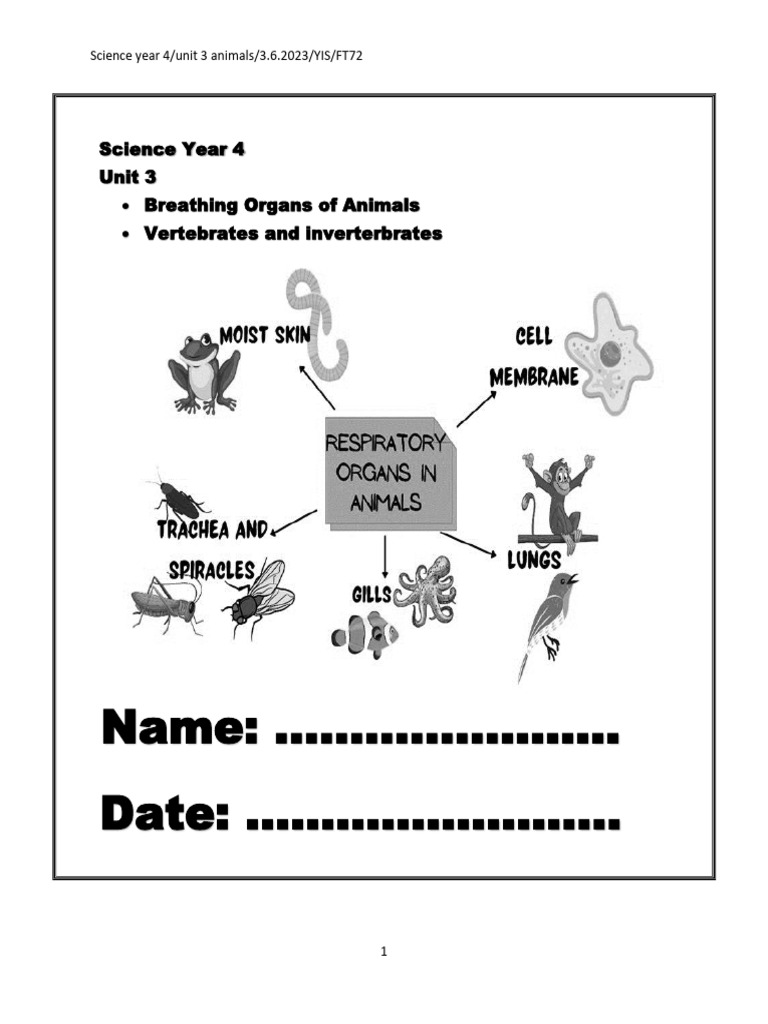 Breathing Organs of Animals - Year 4 | PDF