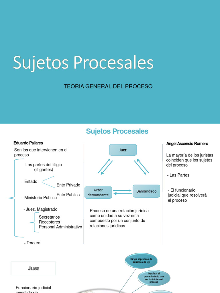 Sujetos Procesales | PDF