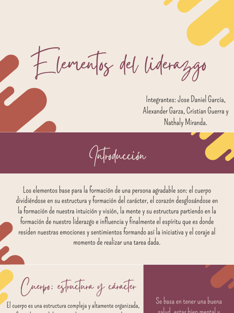 Elementos Del Liderazgo | PDF