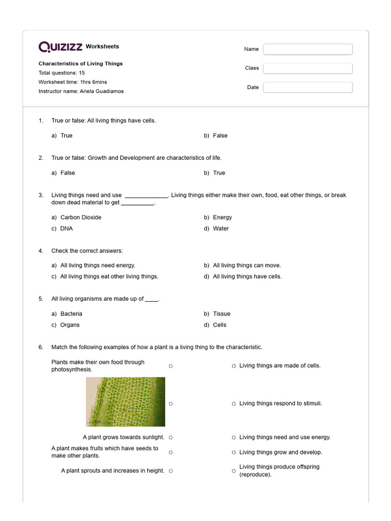 Living Things: Student Worksheet | PDF | Reproduction | Organisms