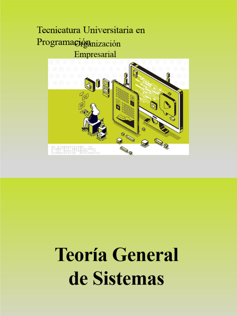 Teoria de Los Sistemas | PDF