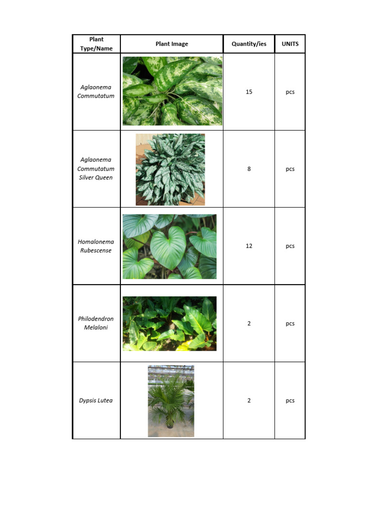 summary plants | PDF