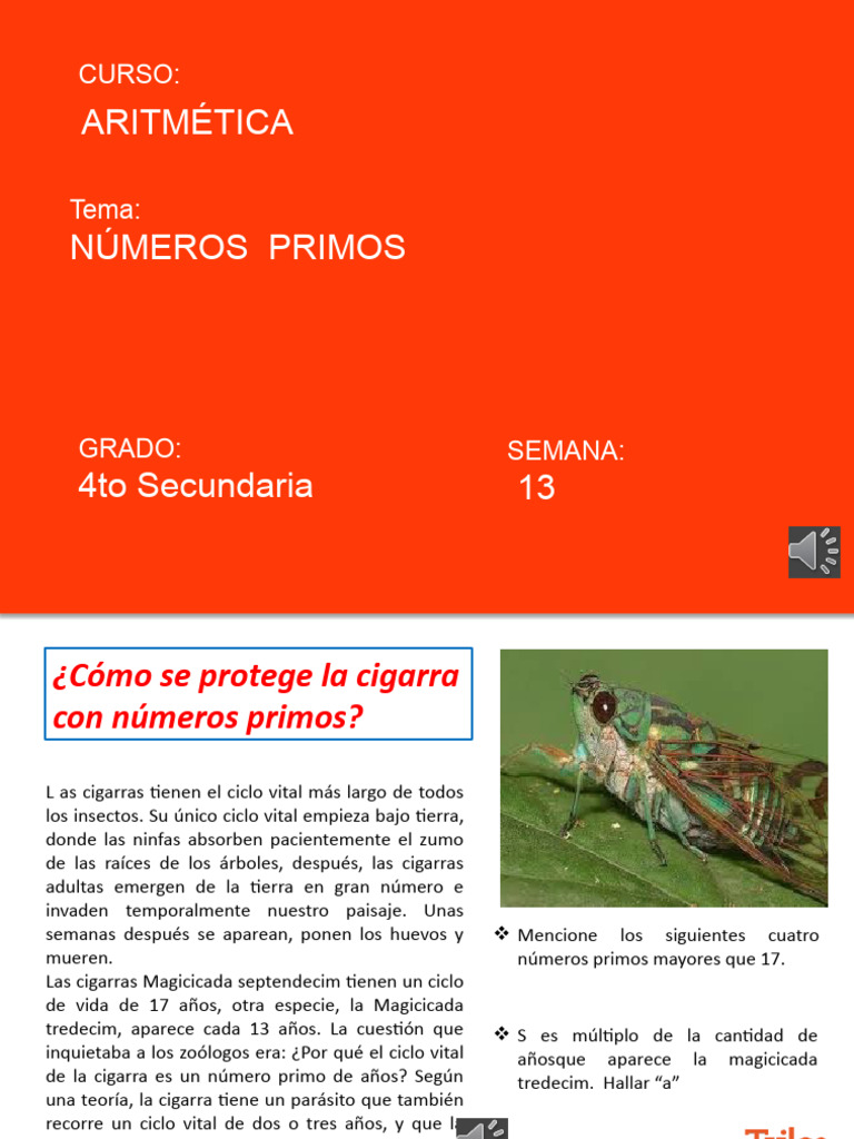 A-4to-Números Primos | PDF | Número primo | Teoría de los números