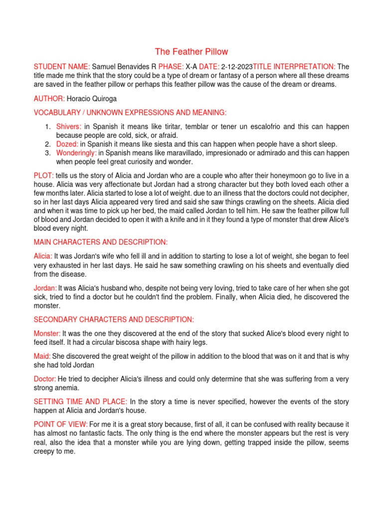 The Feather Pillow | PDF