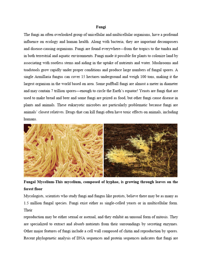 Fungi Pdf Fungus Sexual Reproduction