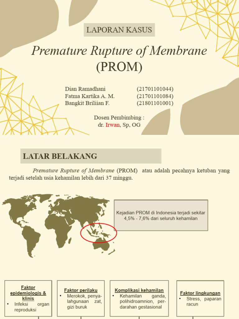 Lapsus Prom Fix | PDF