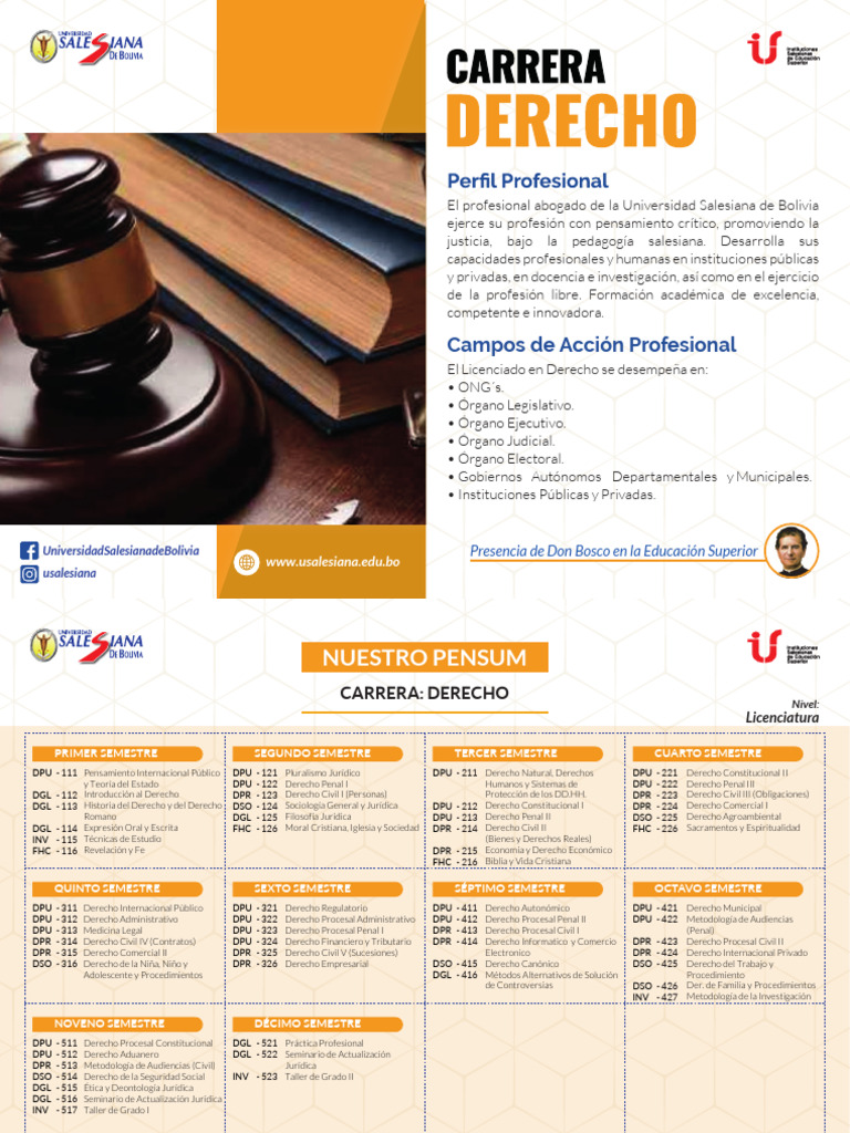 Pensum Derecho | Descargar gratis PDF | Abogado | Justicia
