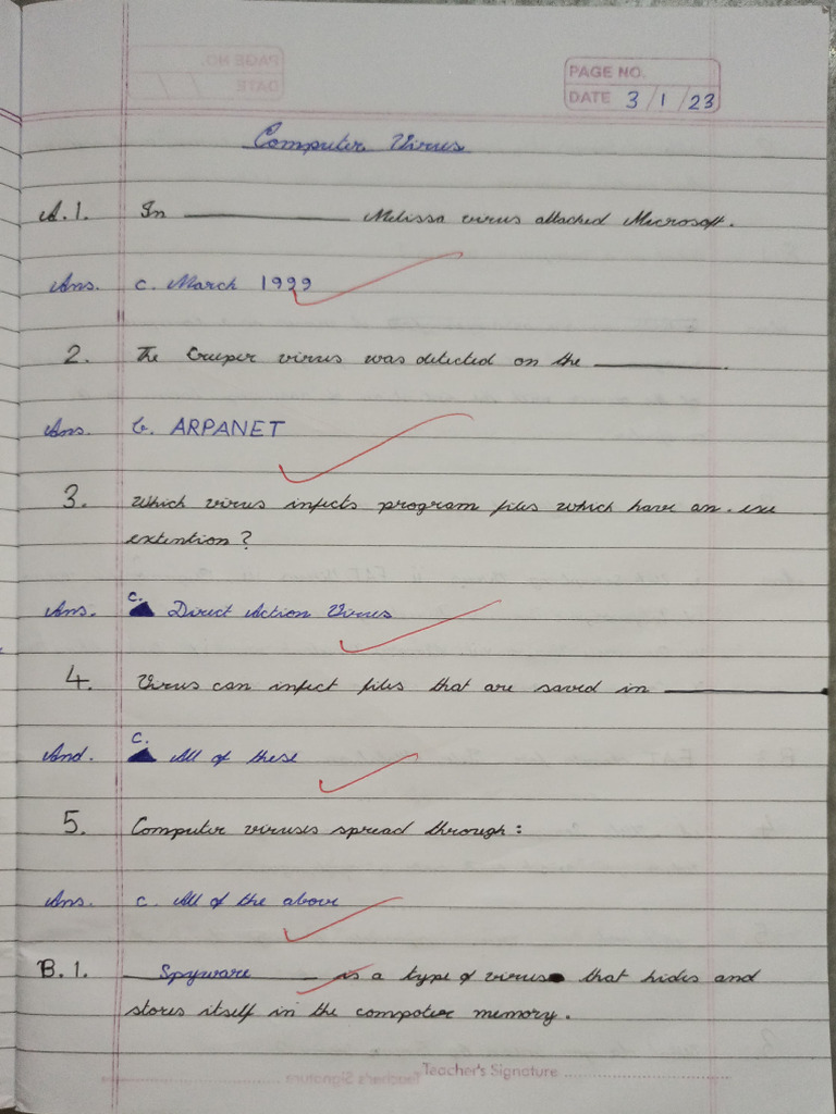 Computer Viruses | PDF