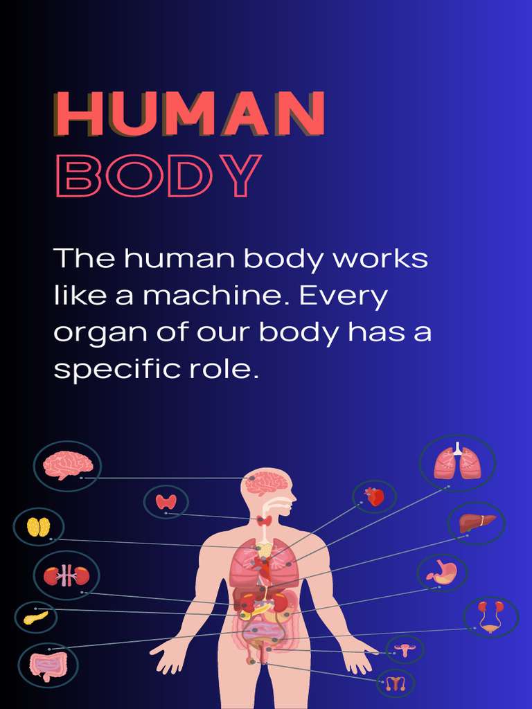 Functions of Human Body Parts Explained | PDF | Self-Improvement | Wellness