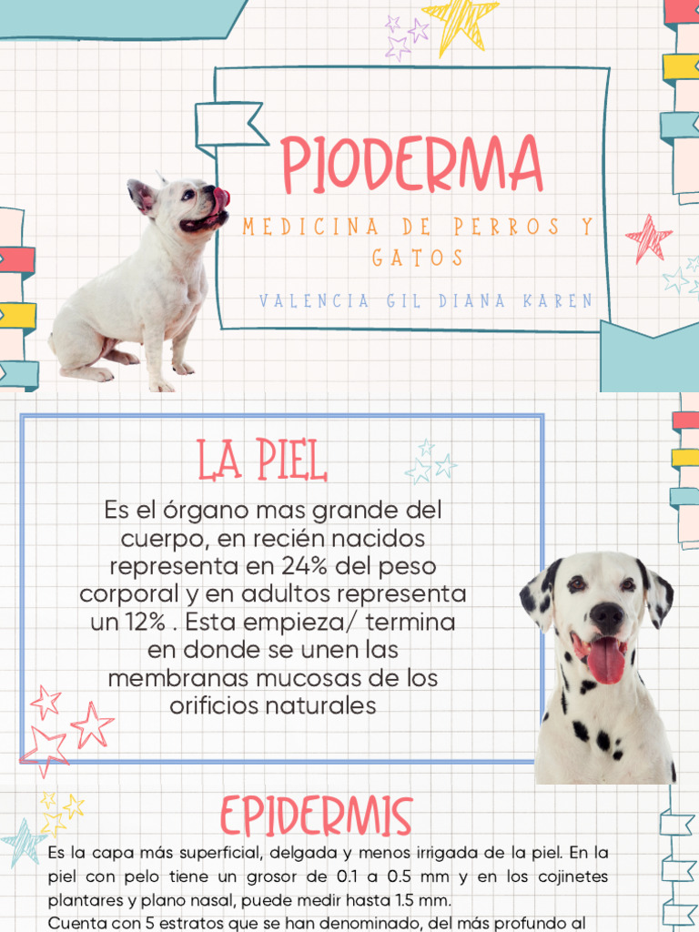PIODERMA | PDF | Piel | Especialidades Medicas