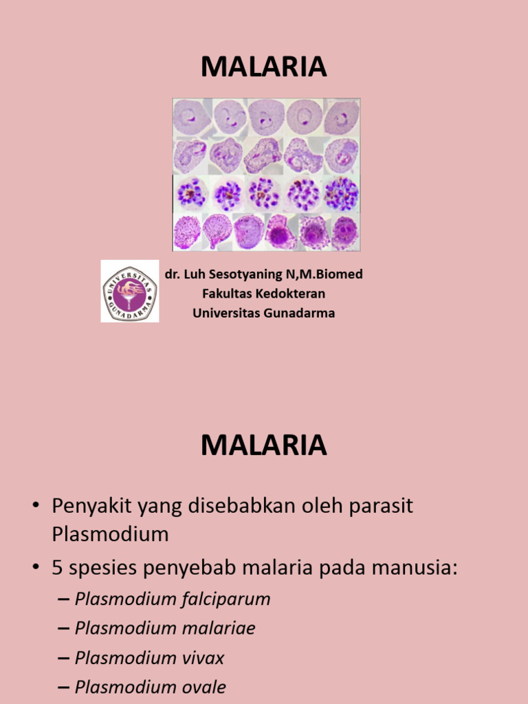 Parasitologi Malaria PDF | PDF | Sains & Matematika