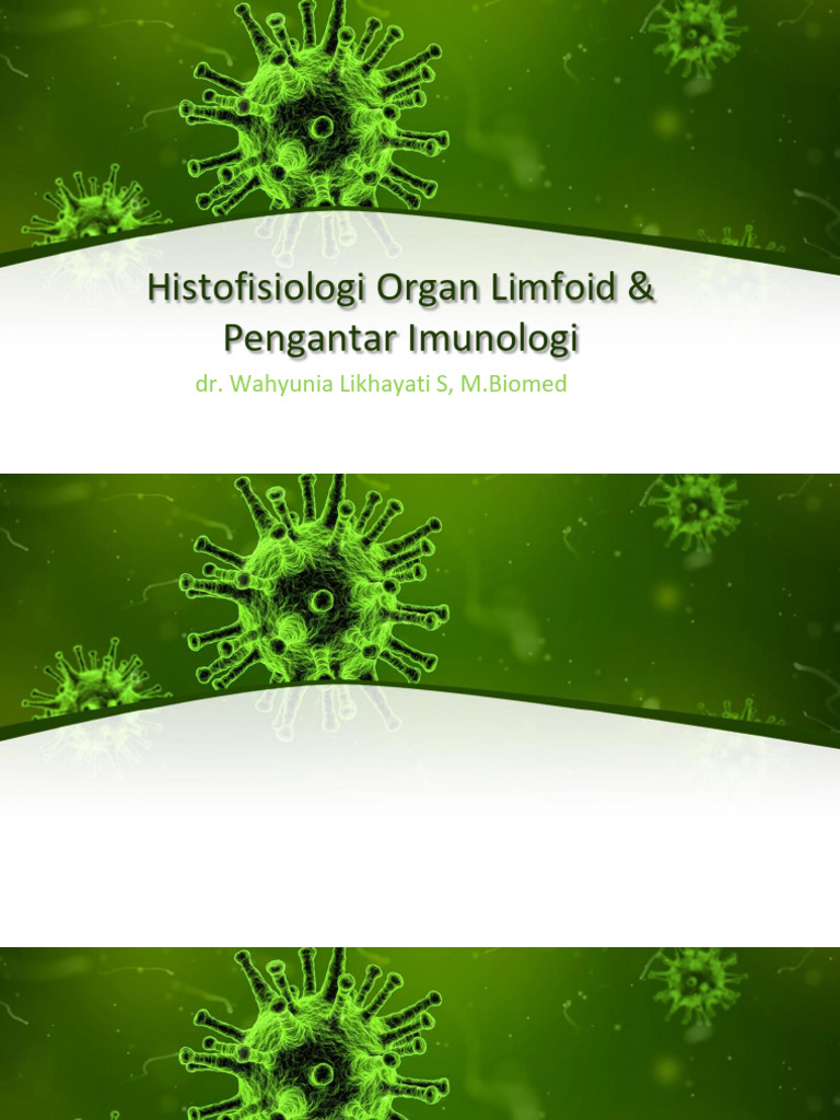 Histologi Organ Limfoid | Download Free PDF | Thymus | Lymphatic System
