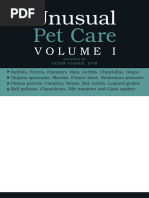 Pet Size o Meter Rabbit | PDF | Obesity | Dieting