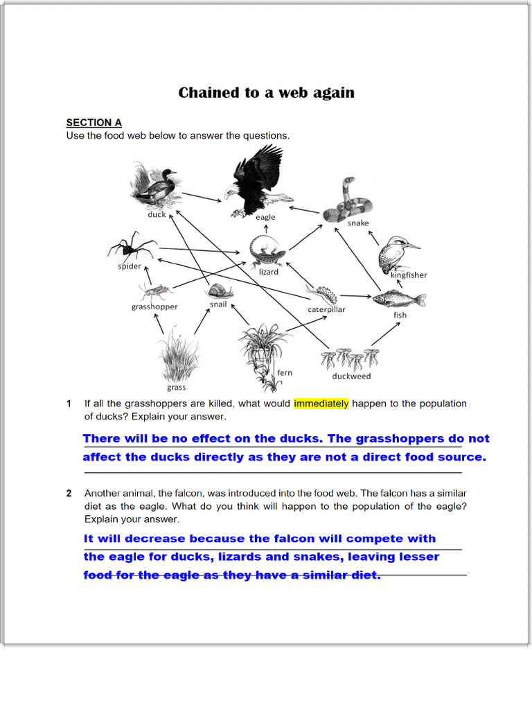 Answers To 03 Chained To A Web Again | PDF