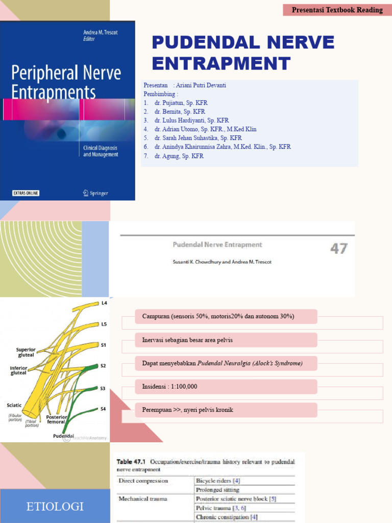 Pudendal Nerve Entrapment | PDF