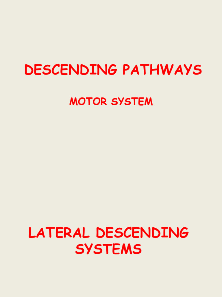 Descending Pathways-Merged | PDF | Spinal Cord | Human Anatomy