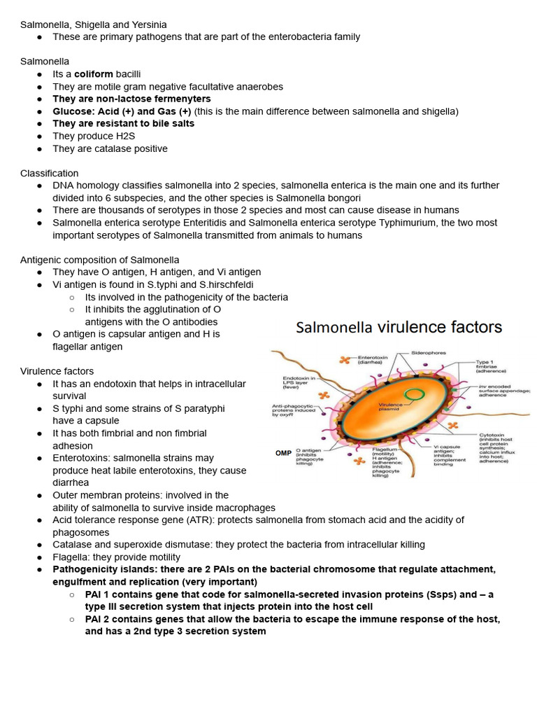 Salmonella, Shigella | PDF | Salmonella | Macrophage