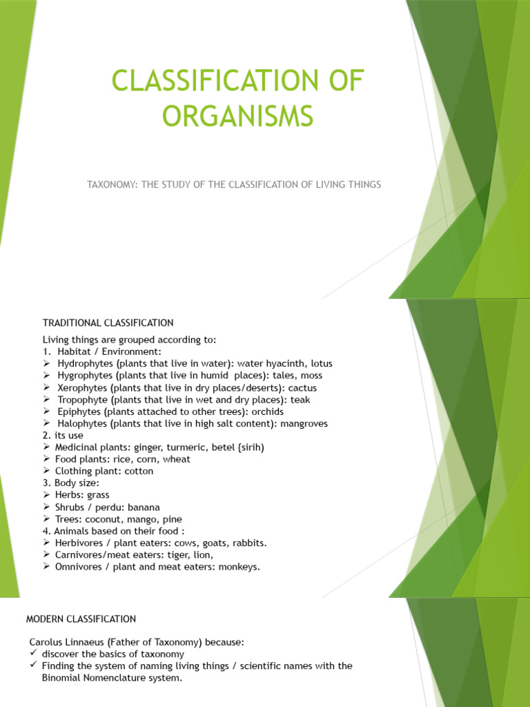 Classification of Organisms | PDF | Taxonomy (Biology) | Plants
