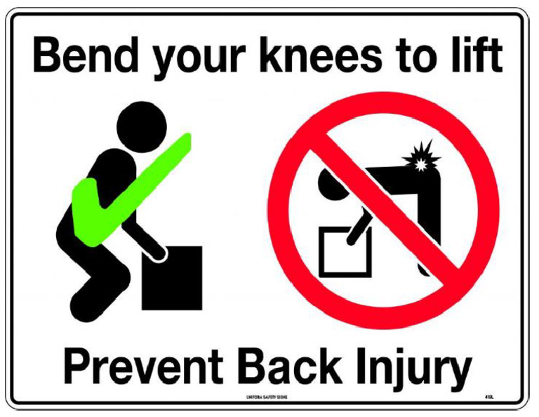 back injury poster | PDF